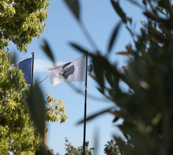 le corse, le basque et le breton : Comment ces langues s’intègrent-elles dans la société ...